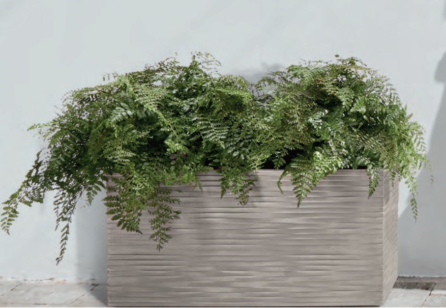 DECORATIVE TROUGH ELEGANCE 60x29,5xV.30cm CORTEN - eurogarden.eu