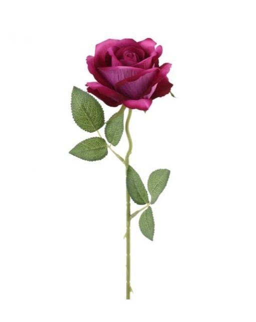 ROSE FUCHSIA BRANCH 50cm - eurogarden.eu