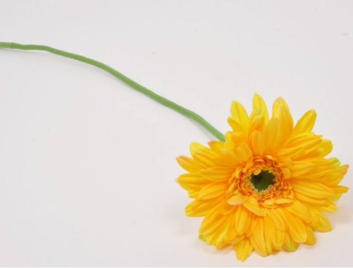GERBERA YELLOW SINGLE 64cm - eurogarden.eu