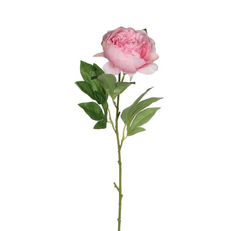 POTONIKA PINK, 76cm - eurogarden.eu
