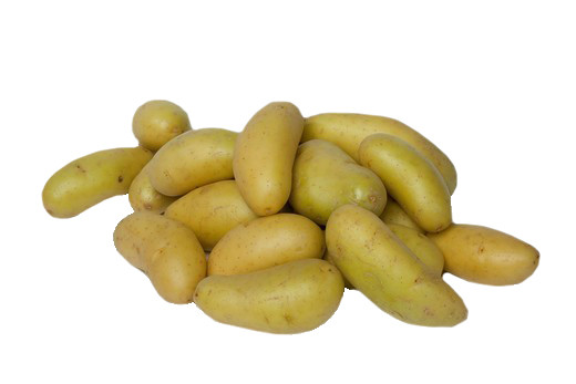 CELTIANE SEMENSKI KROMPIR A32-40 3kg - eurogarden.eu
